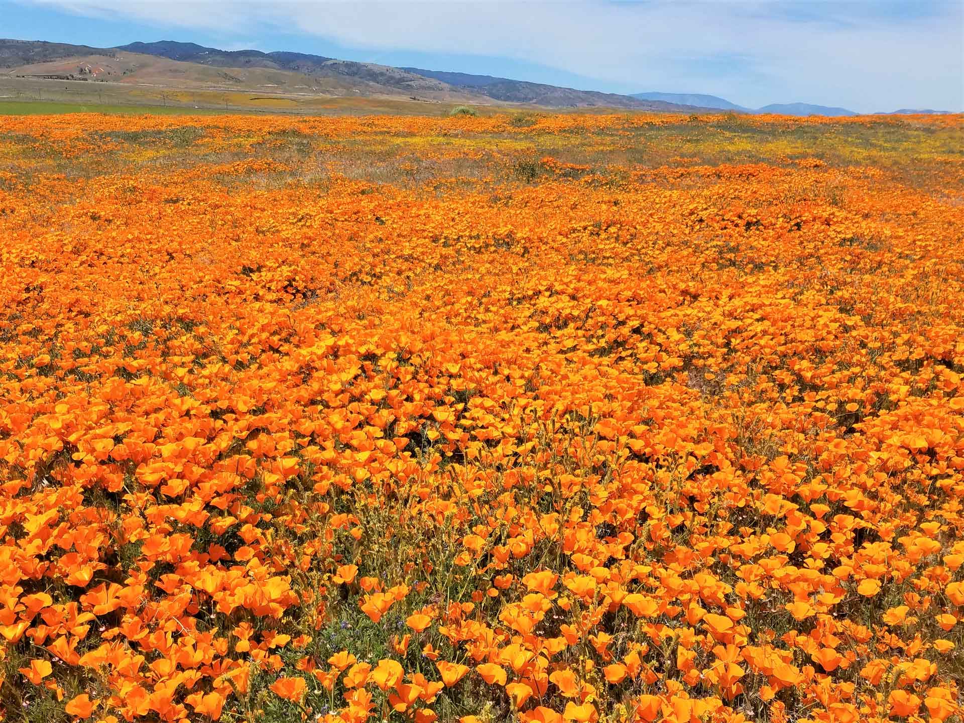 Great Public Land Destinations